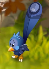 Piwi (NPC) | Dofus Wiki | Fandom