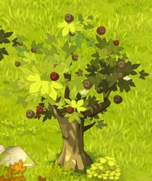 Arbol de Castaño | Dofus Wiki | Fandom