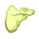 Buck Anear Scapula | Dofus Wiki | Fandom
