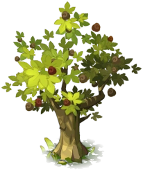 Chestnut tree | Dofus Wiki | Fandom