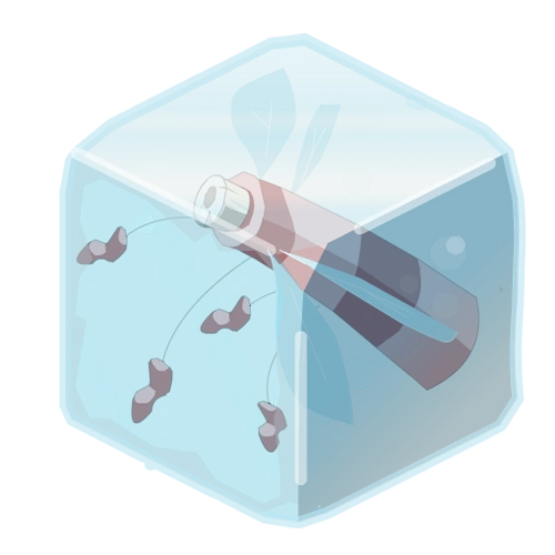 Carne de insecto conservada | Dofus Wiki | Fandom