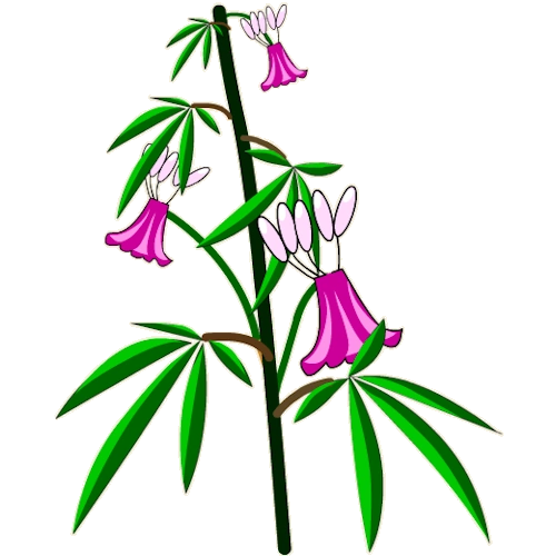 Hemp Flower | Dofus Wiki | Fandom