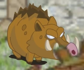 Plain Boar (NPC) | Dofus Wiki | Fandom
