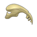 Claw Key | Dofus Wiki | Fandom