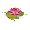 Liput | Dofus Wiki | Fandom