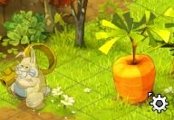 Category:Cawwot Island | Dofus Wiki | Fandom
