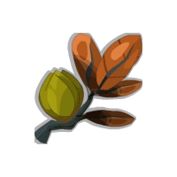 Capullo de Roble Blando | Dofus Wiki | Fandom