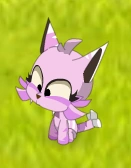 Titchy Pink Bow Meow | Dofus Wiki | Fandom