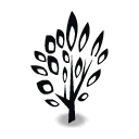 Ink Rupture | Dofus Wiki | Fandom