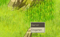 Gerst (plant) | Dofus Wiki | Fandom