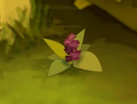 Vulkanian Amusaranth | Dofus Wiki | Fandom