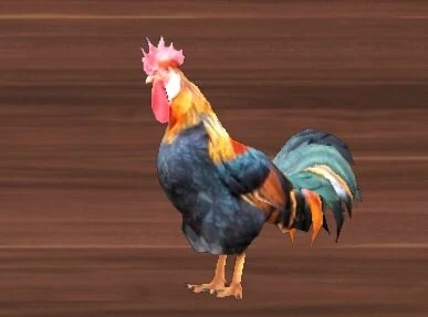 Gallo | Wiki Dog sim | Fandom