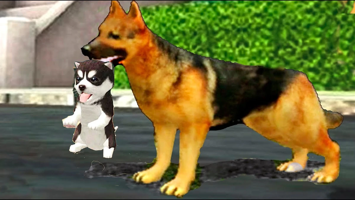 Просто говорим | Dog sim вики | Fandom