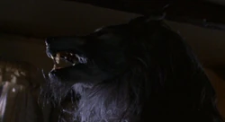 Richard Ryan | Dog Soldiers Wiki | Fandom