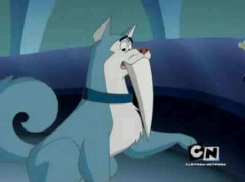 Tusky Husky | Dog Stories Wikia | Fandom