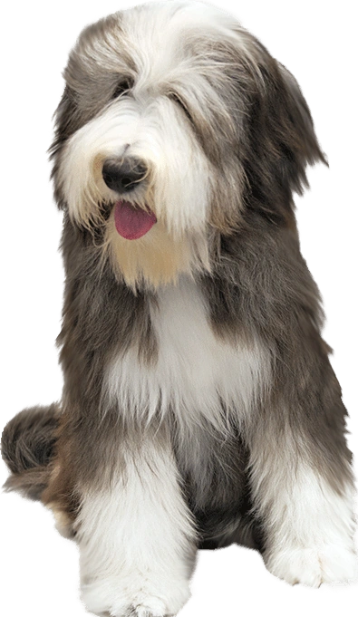 Winfred | Dog Tales Wiki | Fandom
