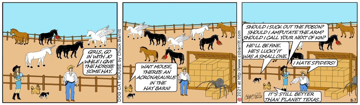 Comic Strip | Dog Cat Mouse Wiki | Fandom