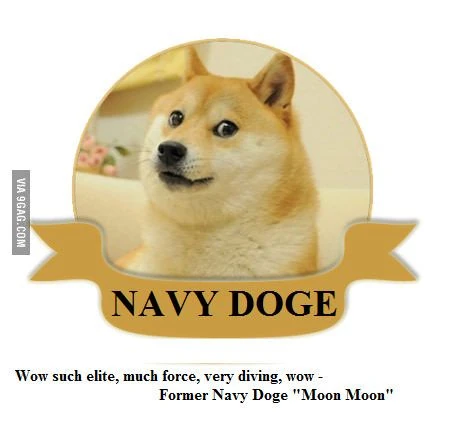 Doge Navy | Doge Powers Wiki | Fandom