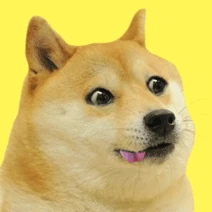 Derp Doges | Doge2048 Wiki | Fandom