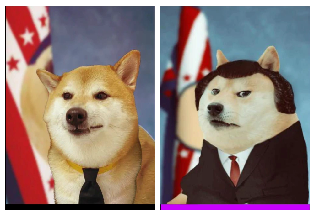 January 2022 Presidential Election | Dogelandia Wiki | Fandom