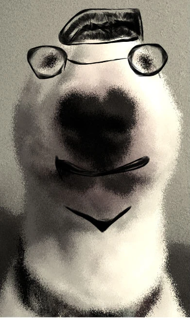 Doge Png Dogwifhat Template (transparent Png) - Anjing Retriever