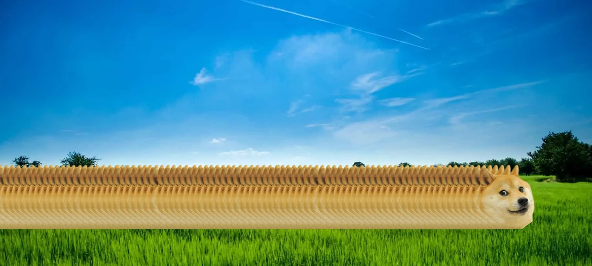 Infini doge | Dogelore Wiki | Fandom