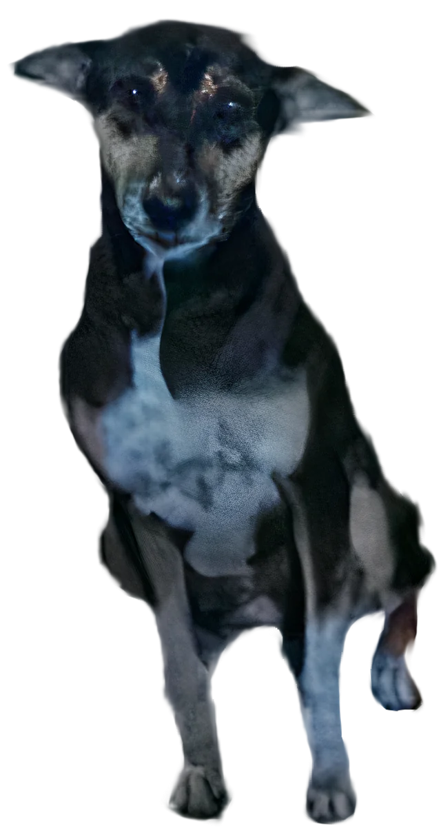 Poopie | Dogelore Wiki | Fandom