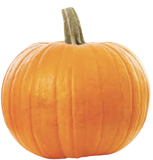 Pumpkin | Doges Nextbots Wiki | Fandom