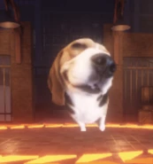 Beagle | Doges Nextbots Wiki | Fandom