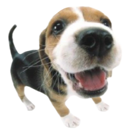 Beagle | Doges Nextbots Wiki | Fandom