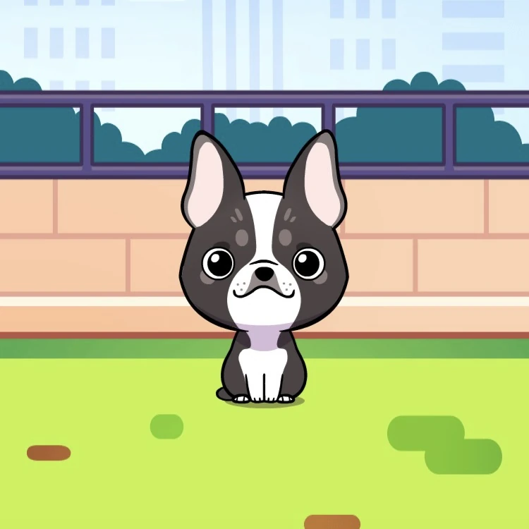 Boston Terrier | Dog Game Wiki | Fandom