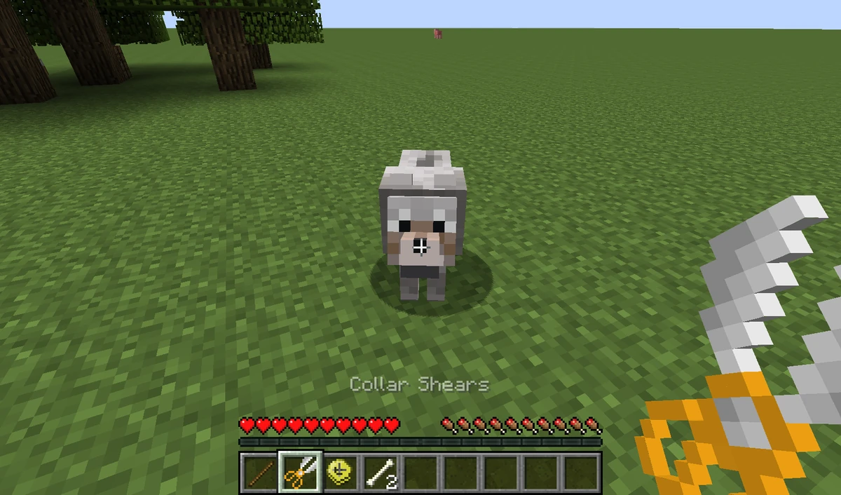 List of talents | Doggy Talents Wiki | Fandom