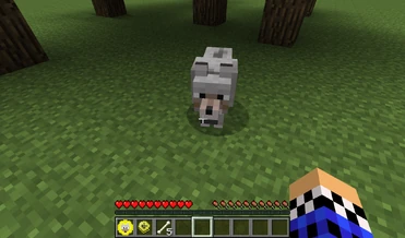 How to Train Your Dog | Doggy Talents Wiki | Fandom