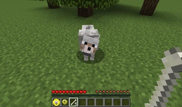 How to Train Your Dog | Doggy Talents Wiki | Fandom