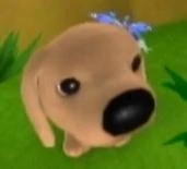 Eve | The Dog Island Wiki | Fandom