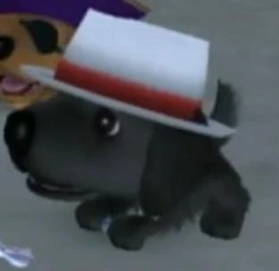 Gustavo | The Dog Island Wiki | Fandom