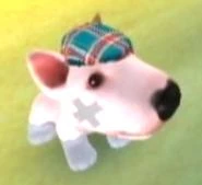 Bill | The Dog Island Wiki | Fandom