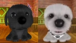 Maria or Emilio | The Dog Island Wiki | Fandom