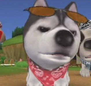 The Victory Dogs Gallery | The Dog Island Wiki | Fandom