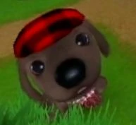 Lesley | The Dog Island Wiki | Fandom