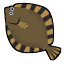 Righteye Flounder | The Dog Island Wiki | Fandom