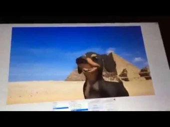 how to draw dog of wisdom