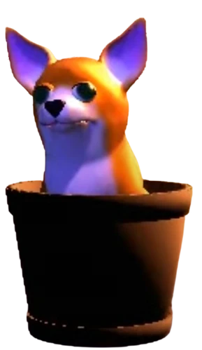 The Chawawa | Dog of Wisdom Wiki | Fandom