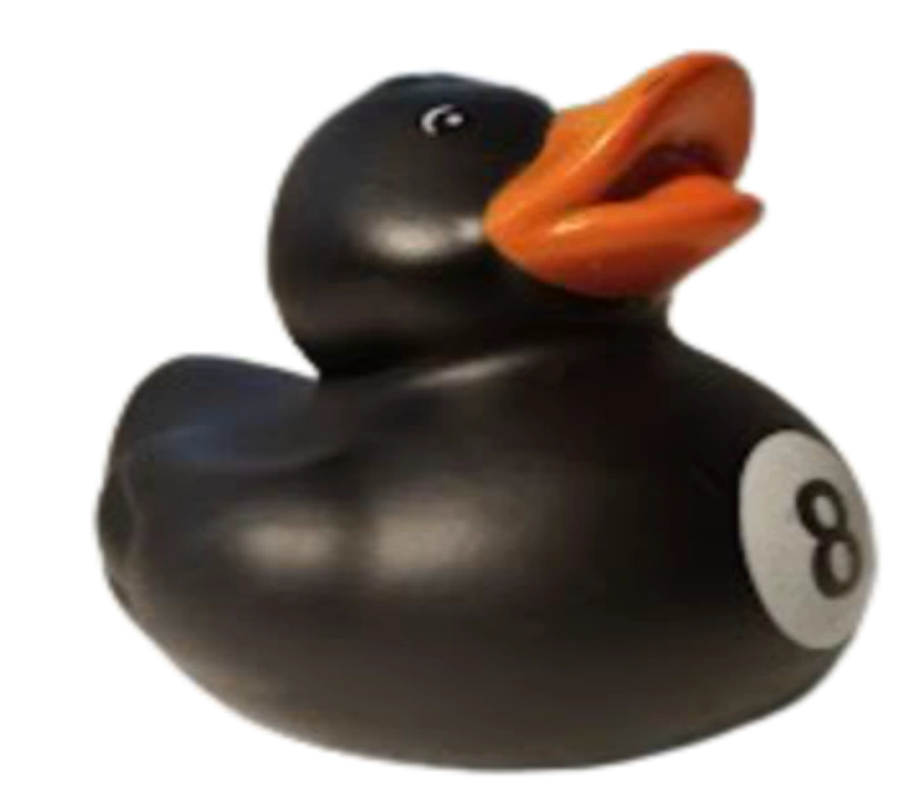 Magic 8 duck | Wonke Wiki | Fandom