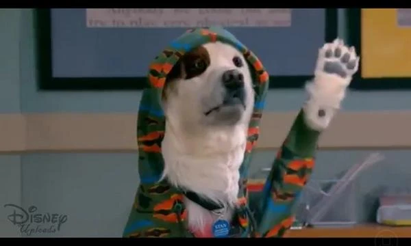 Stan Gets Schooled | Dog With A Blog Wiki | Fandom