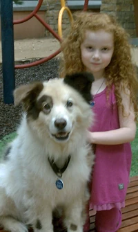 Kuma/Mick Gallery | Dog With A Blog Wiki | Fandom