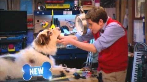 Karl Fink/Gallery | Dog With A Blog Wiki | Fandom