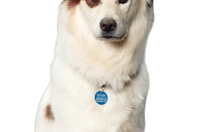 When Did Kuma From Dog With A Blog Die