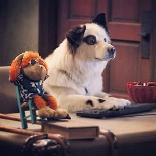 Robert/Gallery | Dog With A Blog Wiki | Fandom