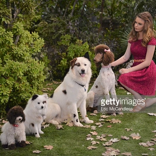 When Did Kuma From Dog With A Blog Die